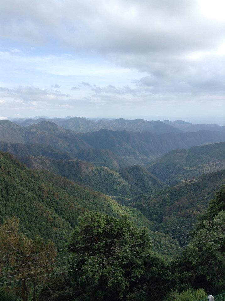 A Journey Through India’s Forests – On Life and Wildlife