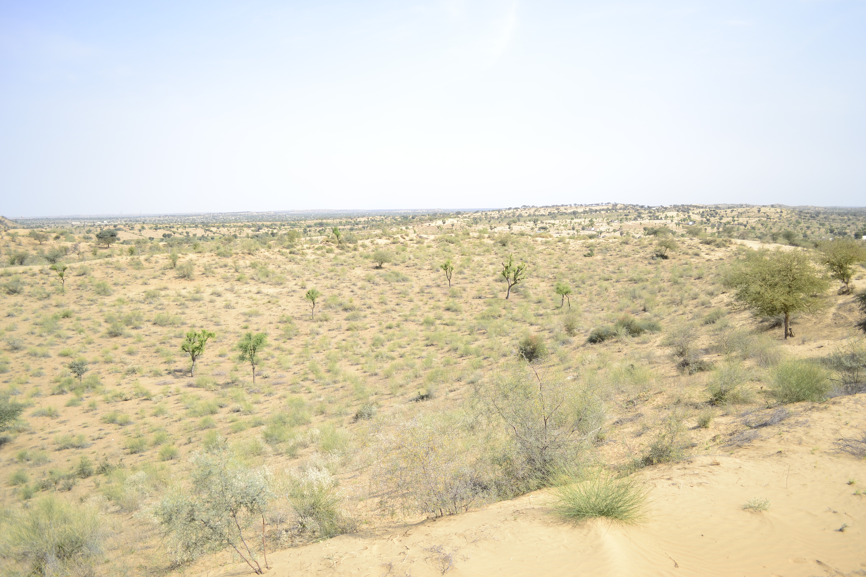 Practicing Proper Land Management for a Healthier Future – On Life and ...